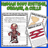 Human Body Worksheet Bundle | Learn About Organs, Cells, & Body Systems