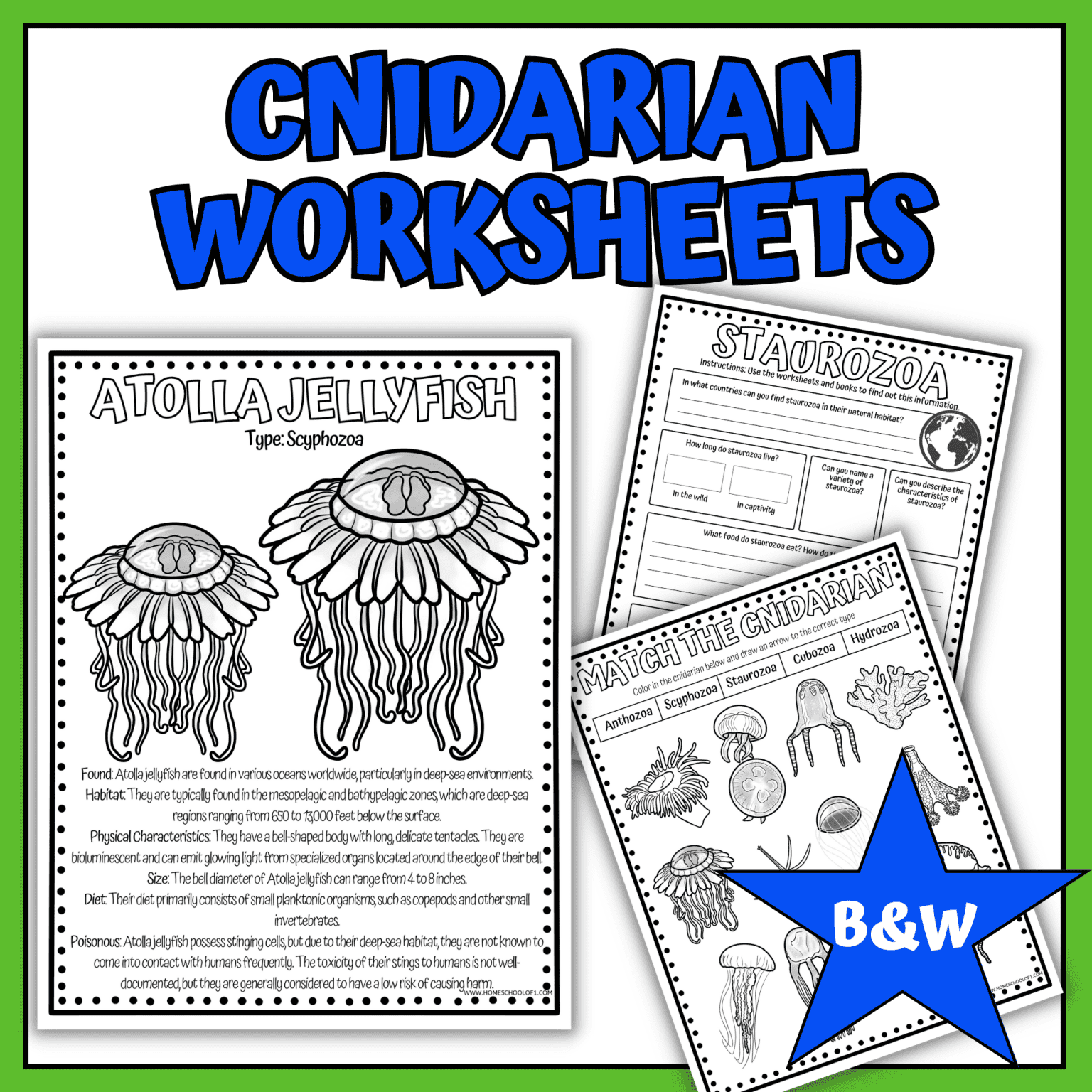 Jellyfish Worksheets & Cnidarian Activities for Kids