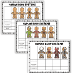 Human Body Systems Bundle