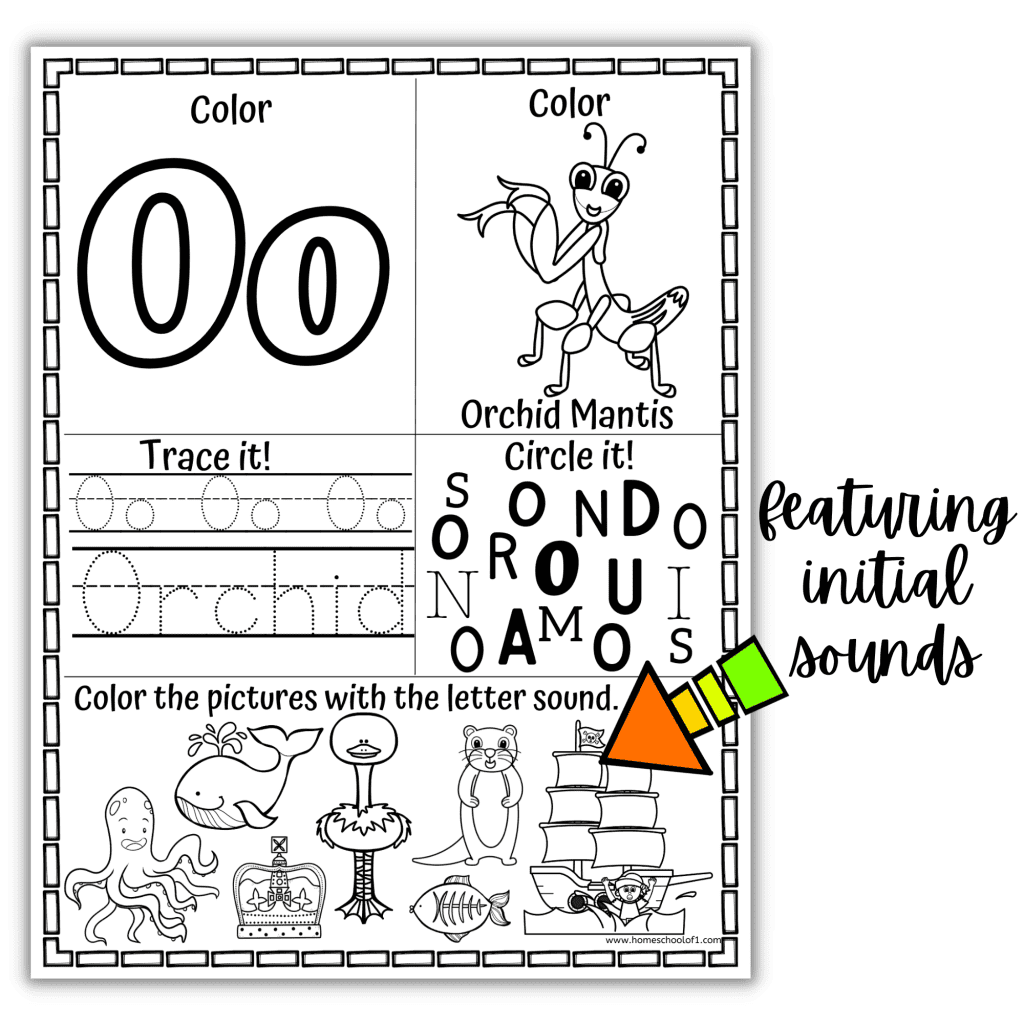 Insect Alphabet Worksheets