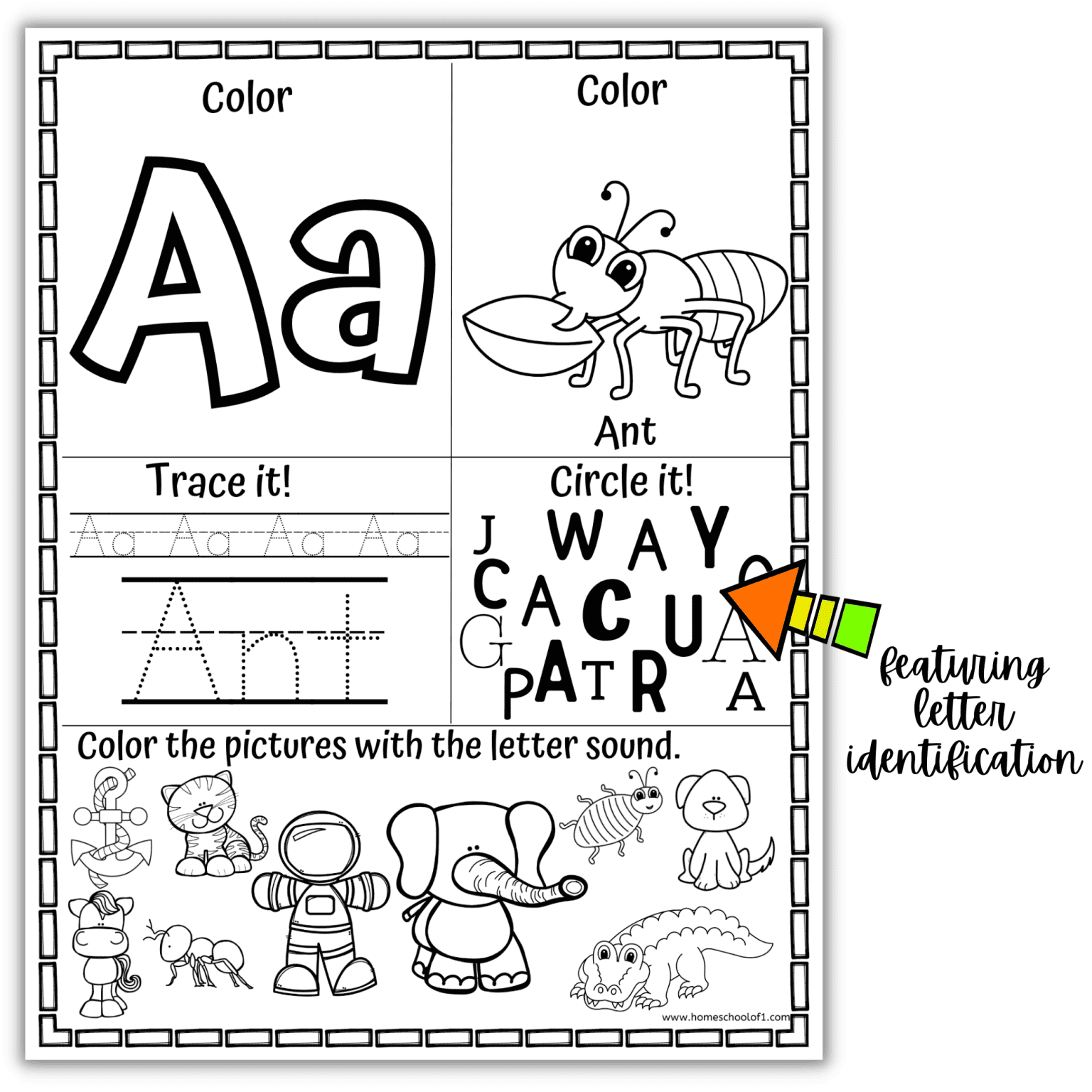 Insect Alphabet Worksheets