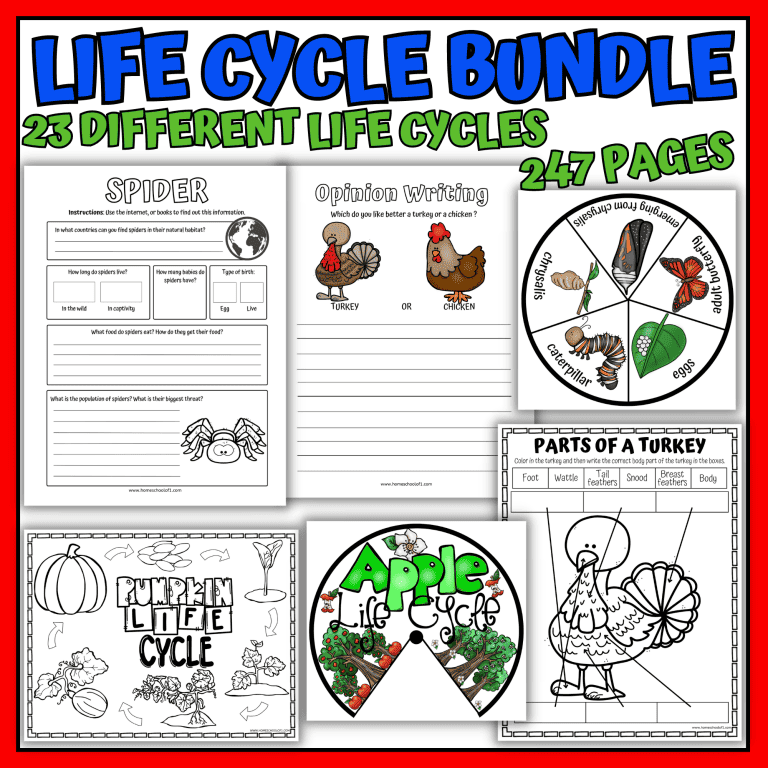 Life Cycle Worksheet Bundle – 23 Printable Units for Kids