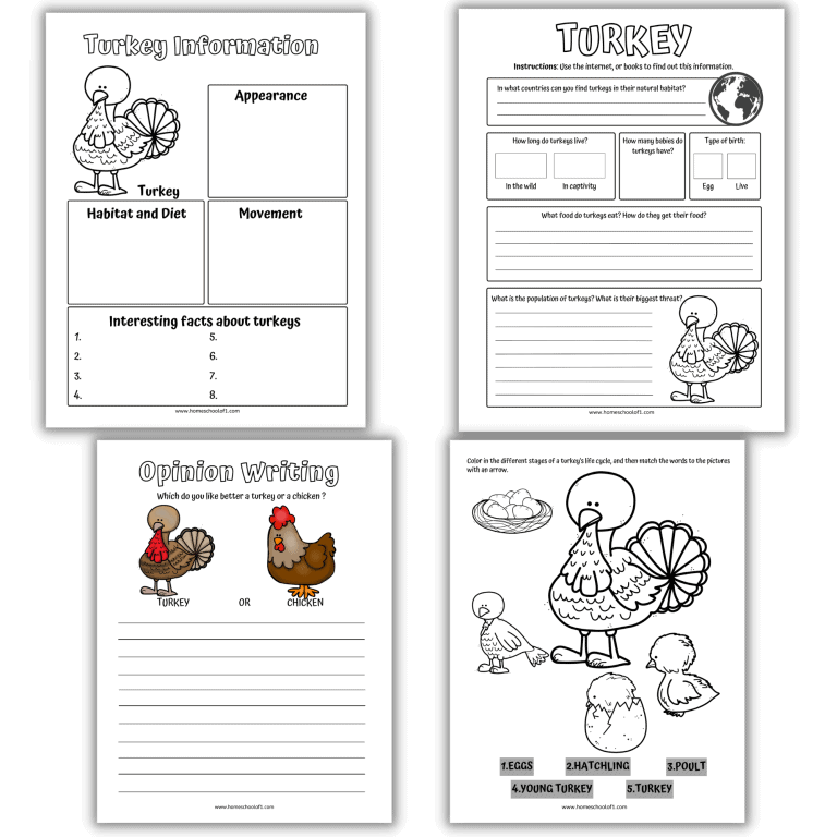 Life Cycle Worksheets | 23 Printable Life Cycle Activities