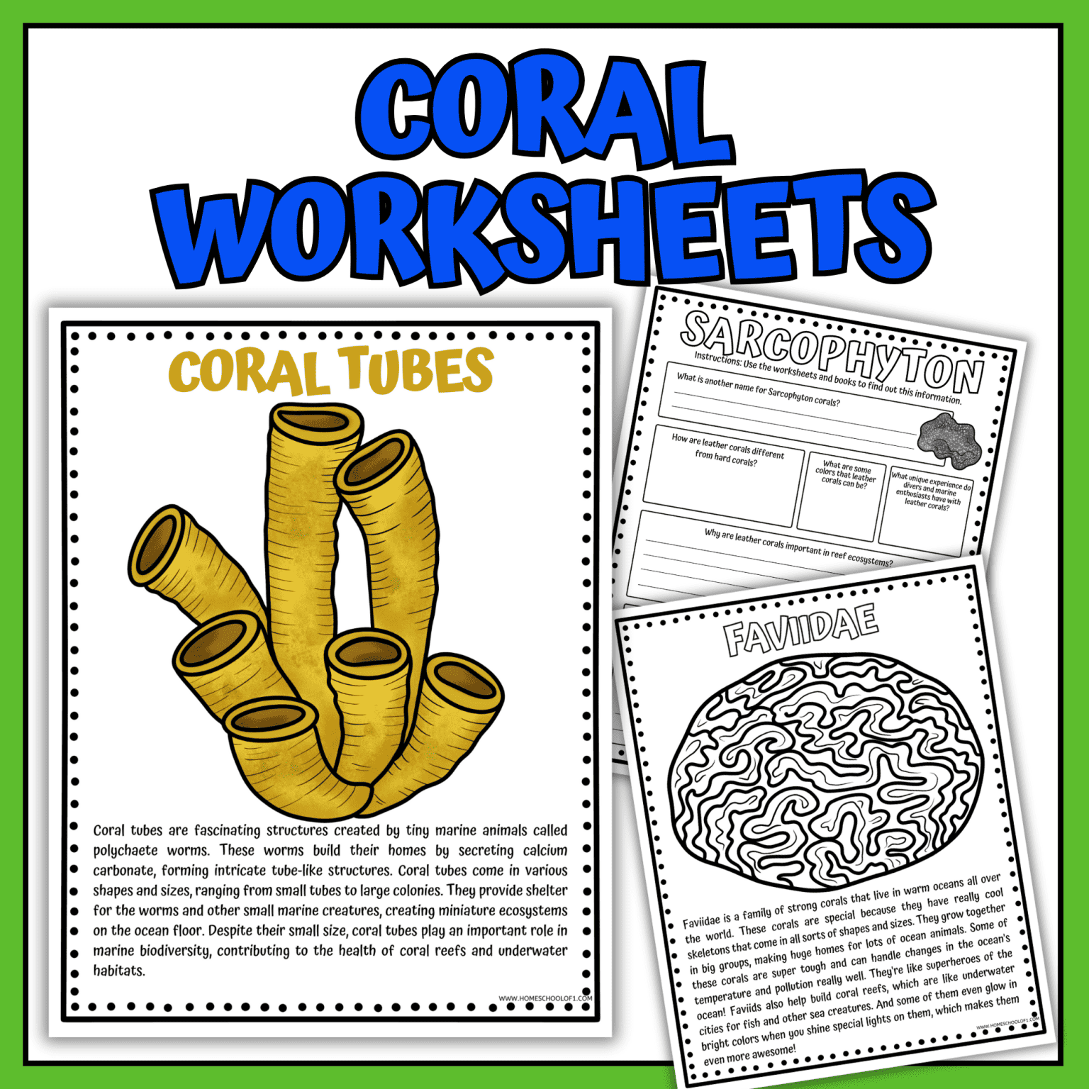 Coral Reef Worksheet Bundle