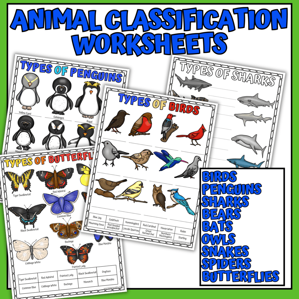 Animal Classification Worksheets Bundle | Science Activities